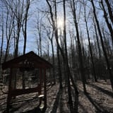 Sprague Brook Park Trail, New York - 1,302 Reviews, Map | AllTrails