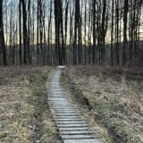 Sprague Brook Park Trail, New York - 1,302 Reviews, Map | AllTrails