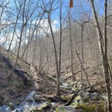 Three Ridges Loop via Appalachian Trail and Mau-Har Trail, Virginia ...