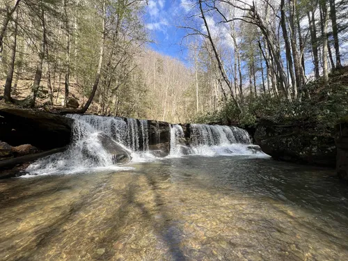 Best Forest Trails in Holly River State Park | AllTrails