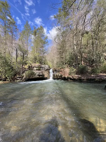 Best Forest Trails in Holly River State Park | AllTrails