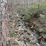Riprap Trail , Virginia - 1,604 Reviews, Map | AllTrails