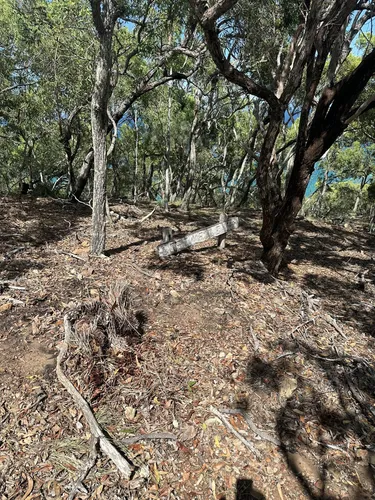 Best Hikes and Trails in Keppel Bay Islands National Park | AllTrails