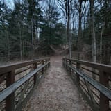 Aman Park Loop, Michigan - 1,217 Reviews, Map | AllTrails