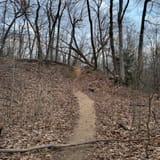 Aman Park Loop, Michigan - 1,217 Reviews, Map | AllTrails