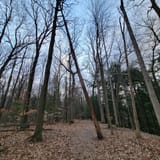 Aman Park Loop, Michigan - 1,336 Reviews, Map | AllTrails