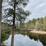 Douglas Forest Wallis Pond Loop Trail, Massachusetts - 929 Reviews, Map ...