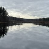 Douglas Forest Wallis Pond Loop Trail, Massachusetts - 929 Reviews, Map ...