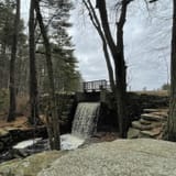 Douglas Forest Wallis Pond Loop Trail, Massachusetts - 929 Reviews, Map ...