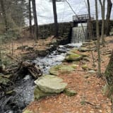 Douglas Forest Wallis Pond Loop Trail, Massachusetts - 929 Reviews, Map ...