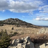 Wilburn Ridge via Appalachian Trail, Virginia - 1,893 Reviews, Map ...