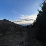 Wilburn Ridge via Appalachian Trail, Virginia - 1,893 Reviews, Map ...