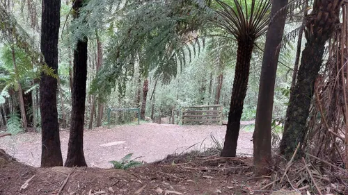 Best Hikes and Trails in Labertouche Cave Geological Reserve | AllTrails