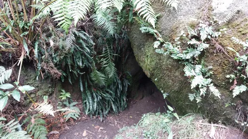 Best Hikes and Trails in Labertouche Cave Geological Reserve | AllTrails