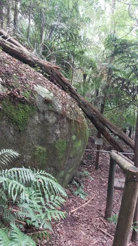 Best Hikes and Trails in Labertouche Cave Geological Reserve | AllTrails