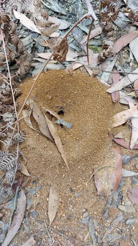 Best Hikes and Trails in Labertouche Cave Geological Reserve | AllTrails