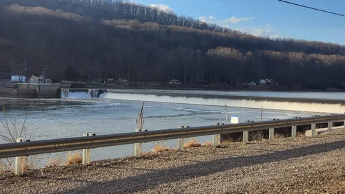 Best Forest Trails in Kittanning | AllTrails