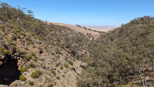 Best Walking Trails in Spring Gully Conservation Park | AllTrails