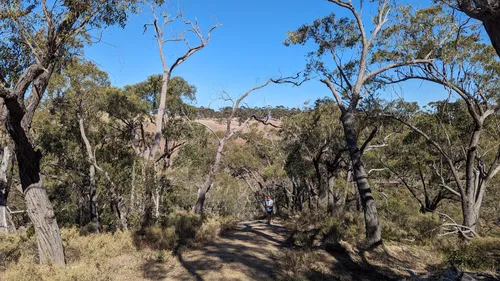 Best Walking Trails in Spring Gully Conservation Park | AllTrails