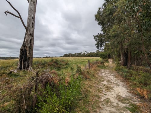 Best Hikes and Trails in Terrick Terrick National Park | AllTrails