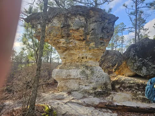 Best Easy Trails in Peachtree Rock Heritage Preserve | AllTrails