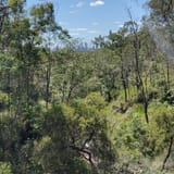 Simpson Falls Track, Queensland, Australia - 86 Reviews, Map | AllTrails