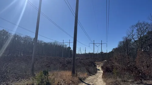 Best Hikes and Trails in Otis Pike Preserve | AllTrails