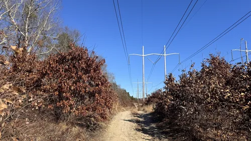 Best Hikes and Trails in Otis Pike Preserve | AllTrails