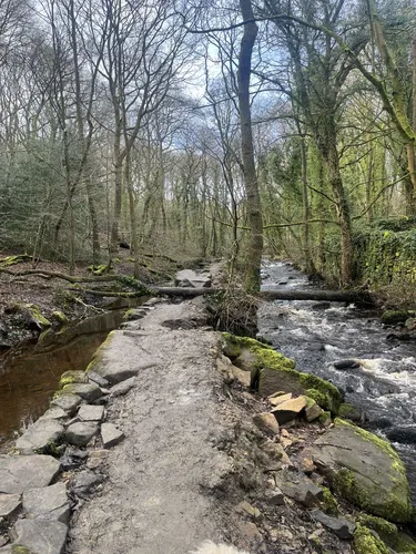 Best Hikes and Trails in Parson Cross Park | AllTrails