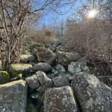 YMCA Camp Sloper White and Black Trail Loop, Connecticut - 246 Reviews ...