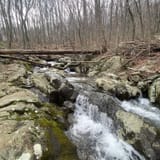 Rose River Trail, Virginia - 4,418 Reviews, Map | AllTrails