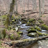 Rose River Trail, Virginia - 4,418 Reviews, Map | AllTrails