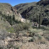 Tanque Verde Falls Trail, Arizona - 2,519 Reviews, Map | AllTrails