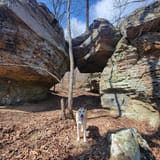 Kings Bluff and Pedestal Rocks, Arkansas - 665 Reviews, Map | AllTrails