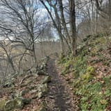 Hawksbill Loop Trail, Virginia - 4,216 Reviews, Map | AllTrails