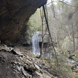 Collins Gulf Trail to Horsepound Falls and Collins River, Tennessee ...
