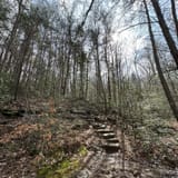 Collins Gulf Trail to Horsepound Falls and Collins River, Tennessee ...
