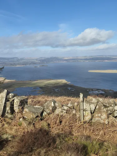 Best Kid Friendly Trails in Kelty | AllTrails