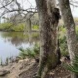 Doris Leeper Trail, Florida - 582 Reviews, Map | AllTrails