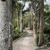 Doris Leeper Trail, Florida - 582 Reviews, Map | AllTrails