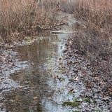 Pawcatuck River Loop, Rhode Island - 167 Reviews, Map | AllTrails