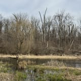 Letort Spring Run, Pennsylvania - 549 Reviews, Map | AllTrails