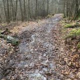 Tully Mountain Loop Trail, Massachusetts - 451 Reviews, Map | AllTrails