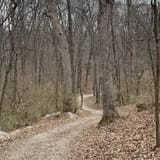 Hawk Ridge Trail, Missouri - 2,884 Reviews, Map | AllTrails