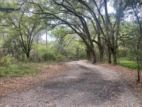 Best Hikes and Trails in McIntosh Preserve | AllTrails
