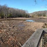 Great Marsh Trail, Virginia - 78 Reviews, Map | AllTrails