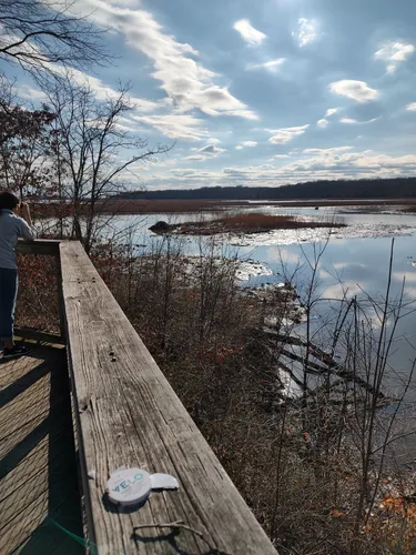 Best Hikes and Trails in Mason Neck Wildlife Refuge | AllTrails