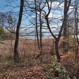 Great Marsh Trail, Virginia - 78 Reviews, Map | AllTrails