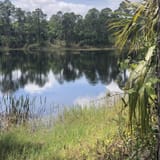 Halpatiokee Park Mountain Bike Trail, Florida - 386 Reviews, Map ...
