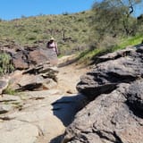 Mormon Loop and National Trail, Arizona - 2,555 Reviews, Map | AllTrails
